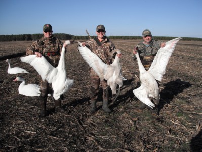 Outer Banks Charters | Swan Hunting